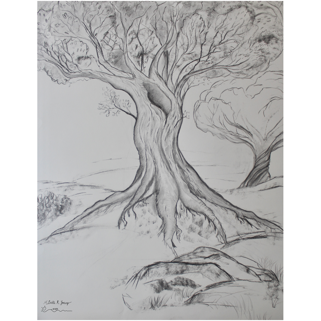 Twisted Tree Drawing Professional Prints – My Passions Studio LLC, DBA ...